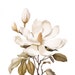 Watercolor Magnolia Flower Digital Art Print Instant Download ...