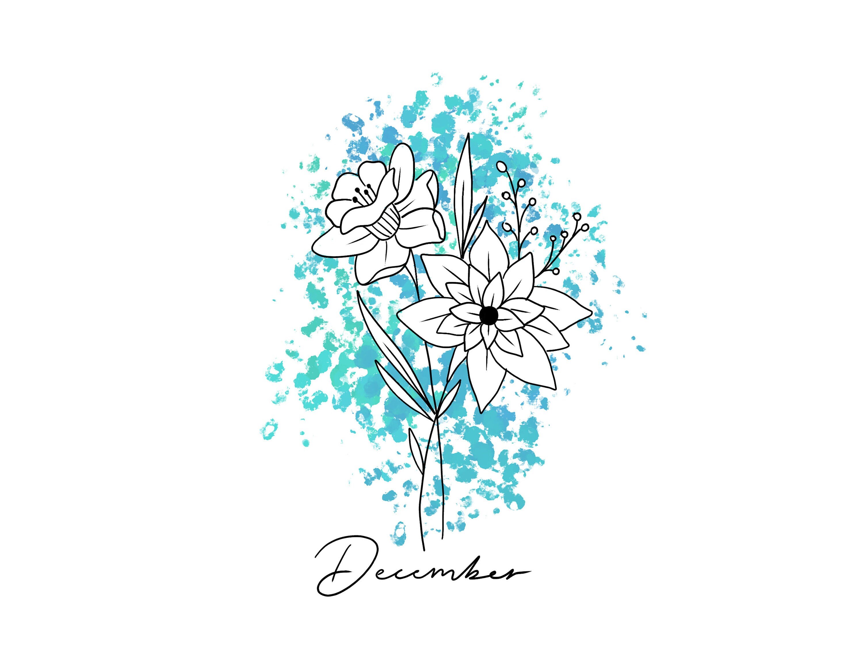 December Birth Flower Illustration. Unique, Hand Drawn Flower ...