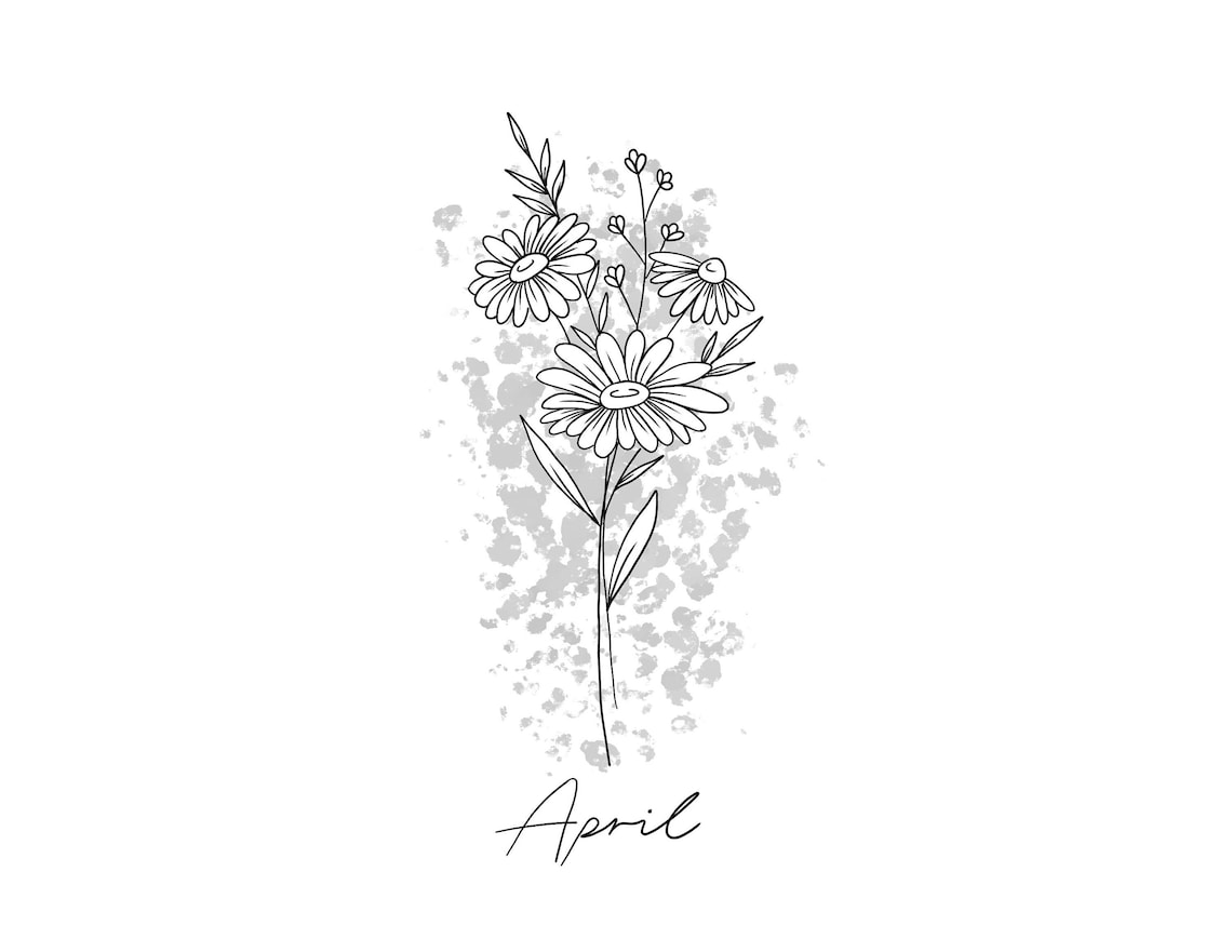 April Birth Flower Illustration. Unique, Hand Drawn Flower Illustration ...