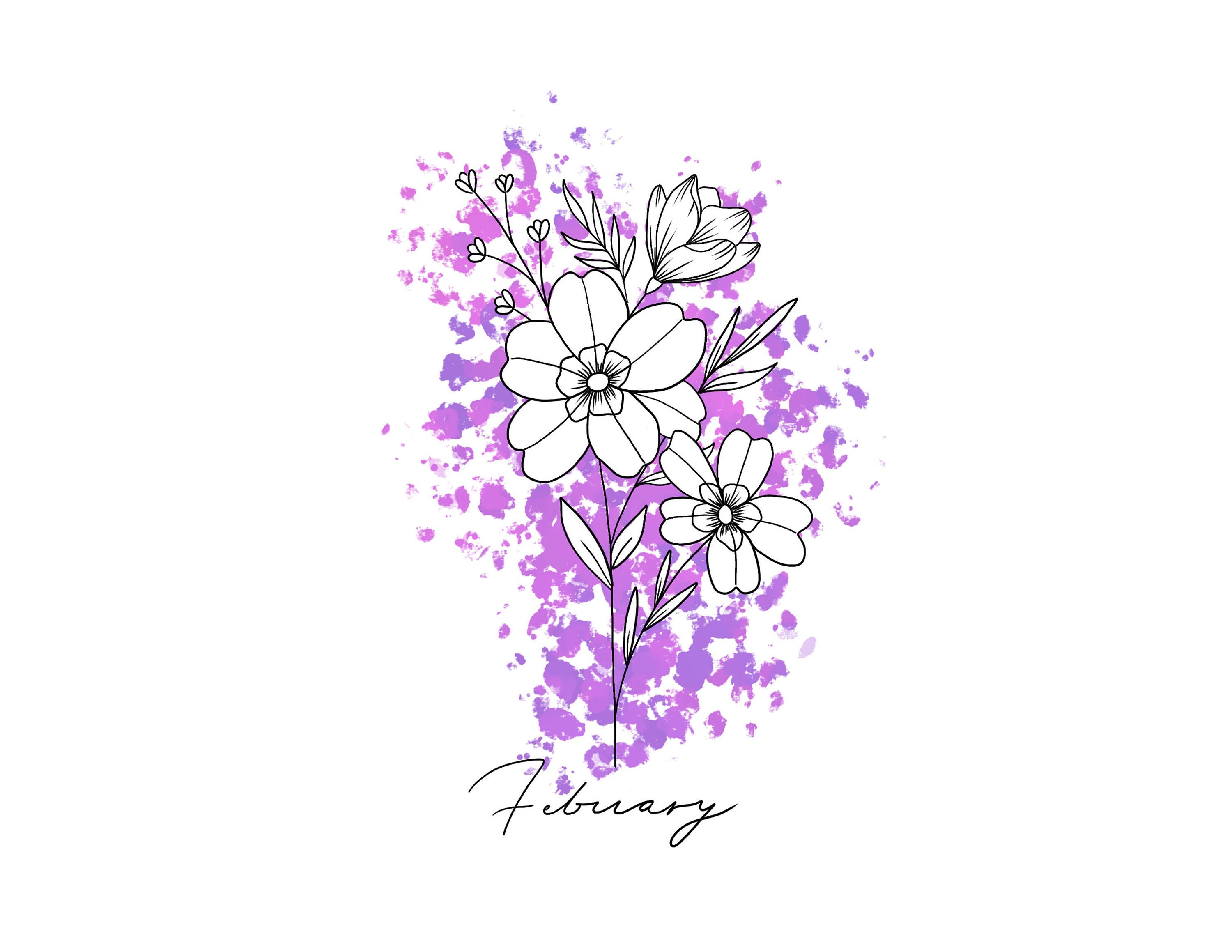 February Birth Flower Illustration. Unique, Hand Drawn Flower ...