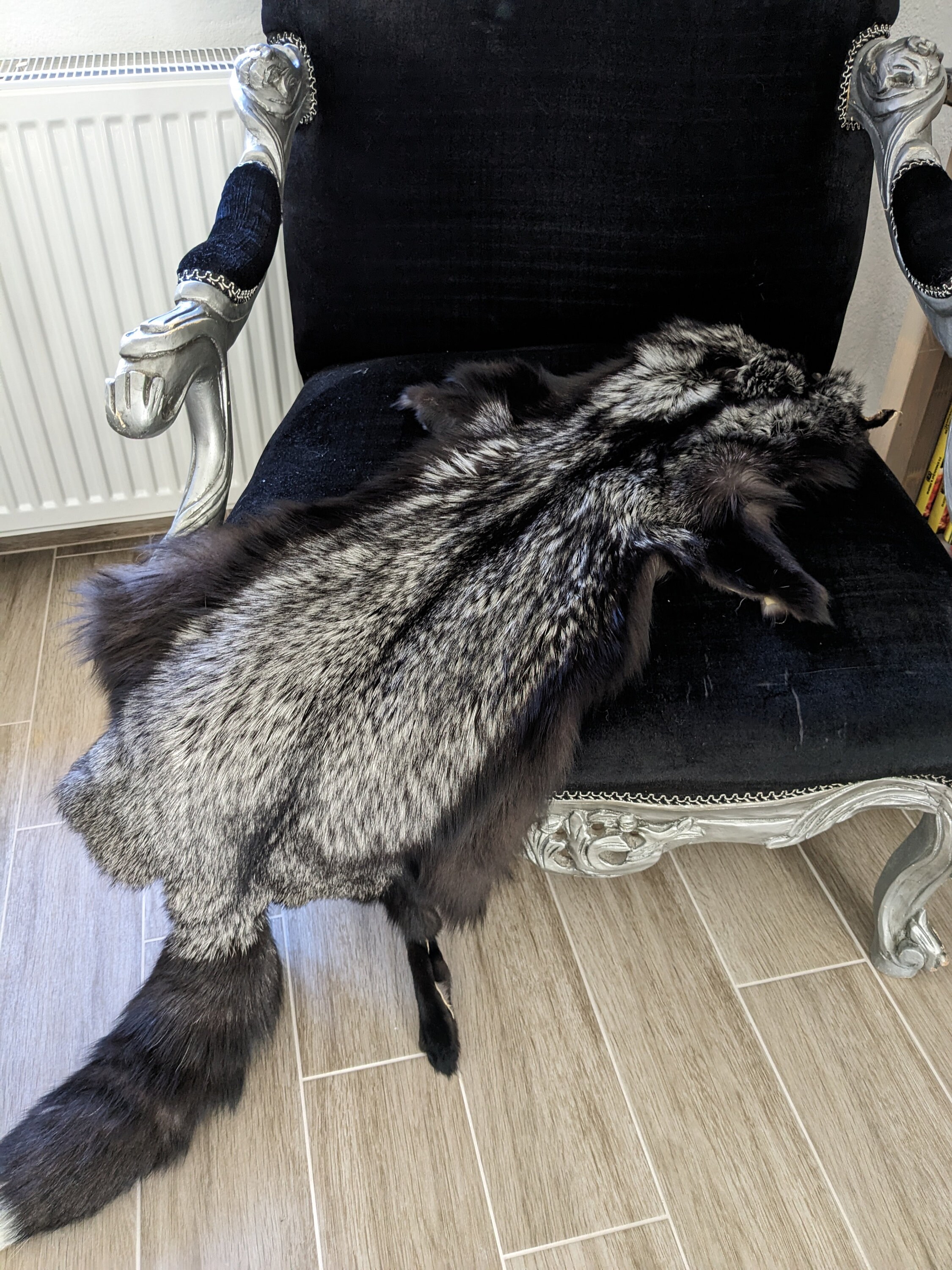 Real Silver Fox Fur Skin Pelts Natural Colour, Home Decoration. - Etsy