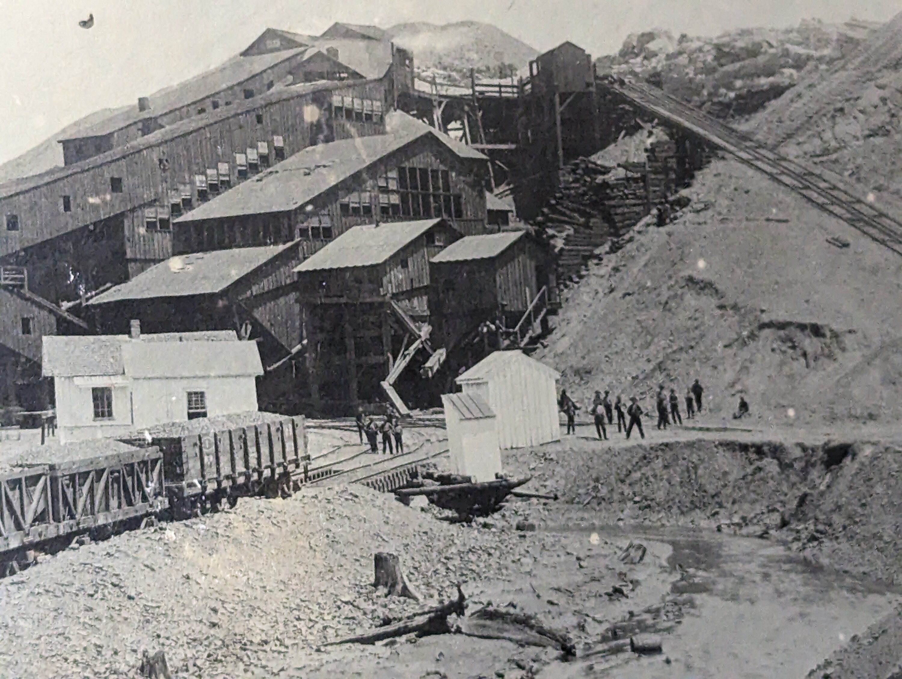 William H. Rau Antique Photograph Circa 1900 - Etsy