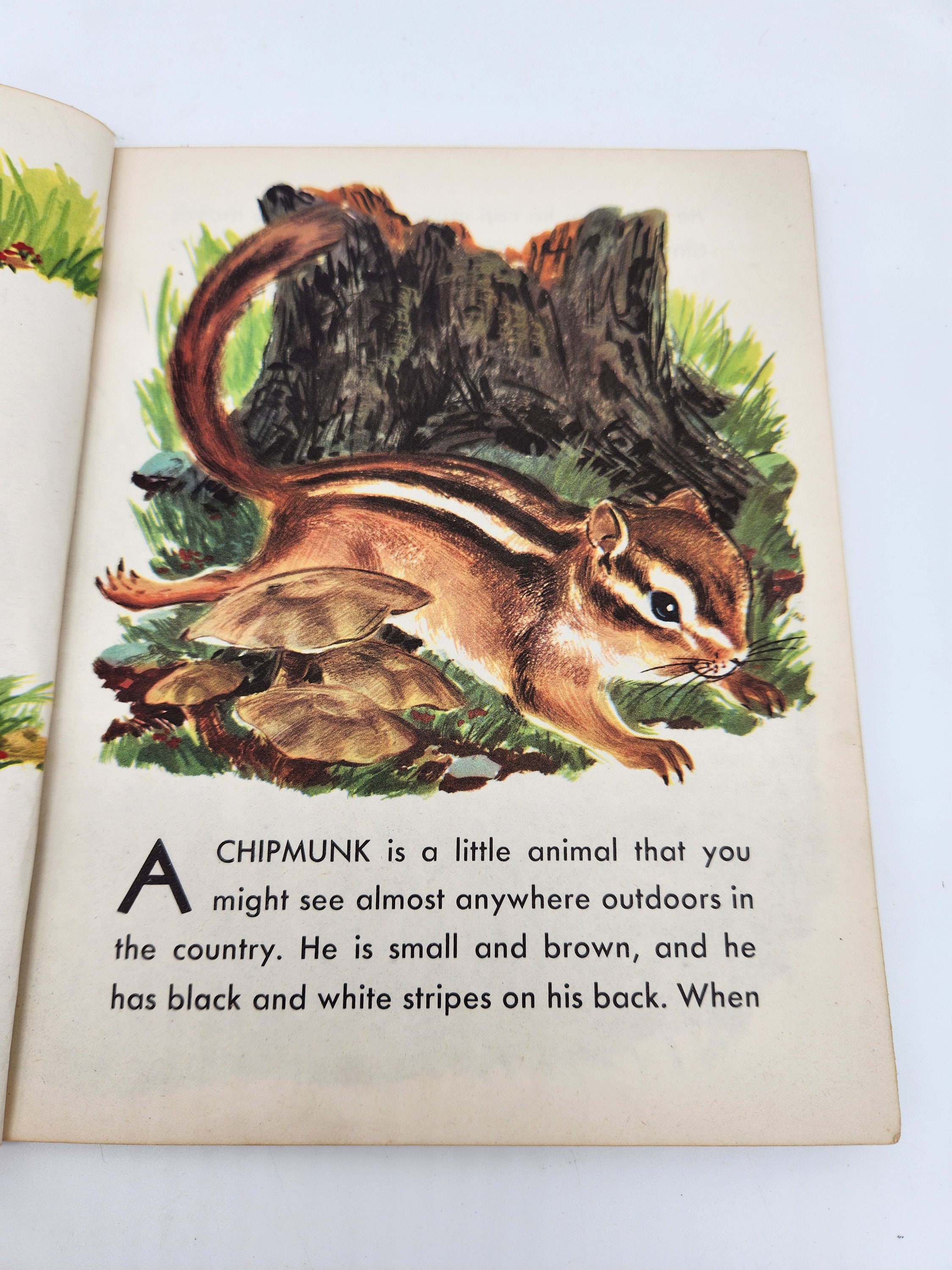The Baby Chipmunk by Miss Frances A Ding Dong School Book - Etsy