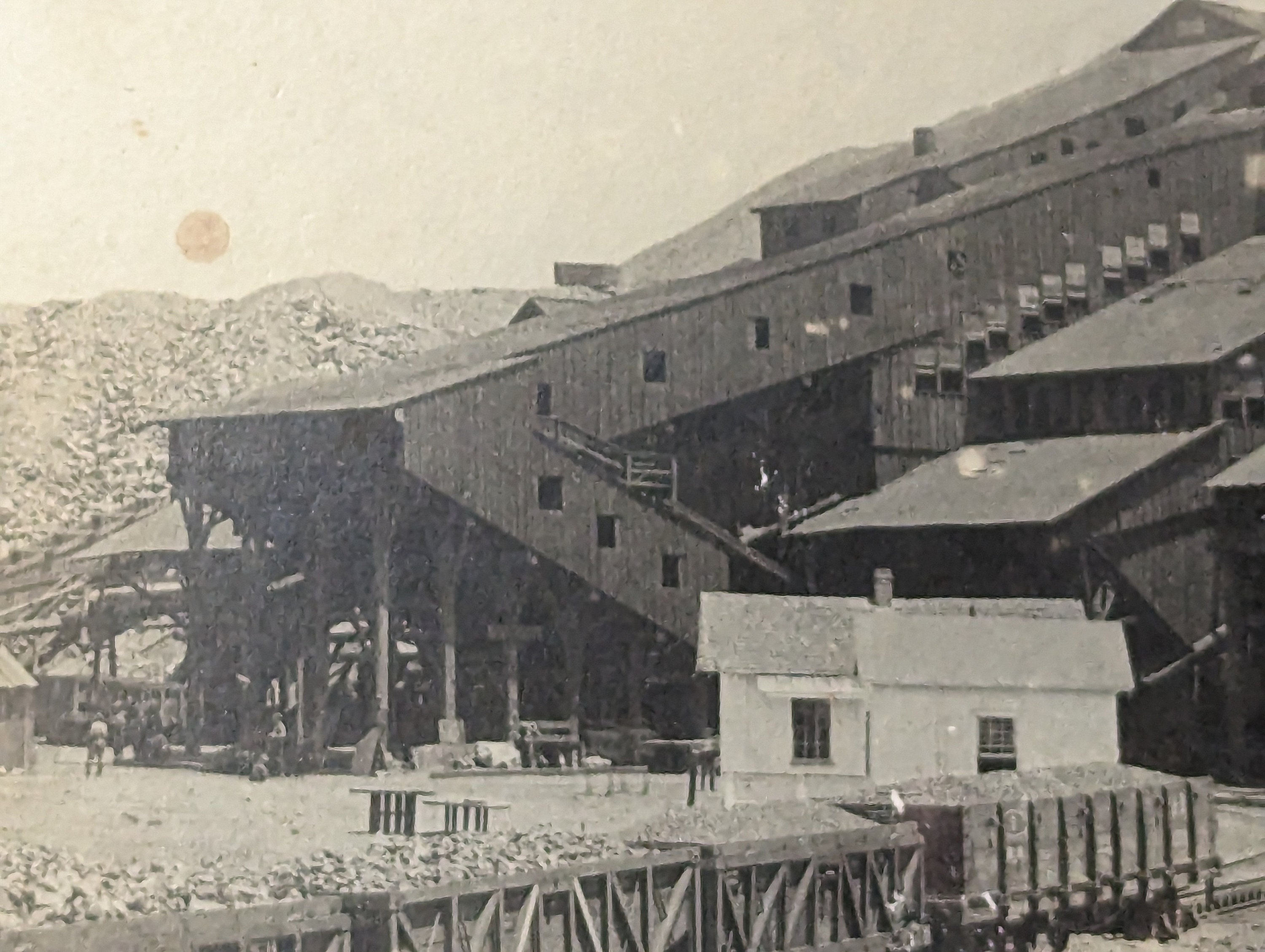 William H. Rau Antique Photograph Circa 1900 - Etsy