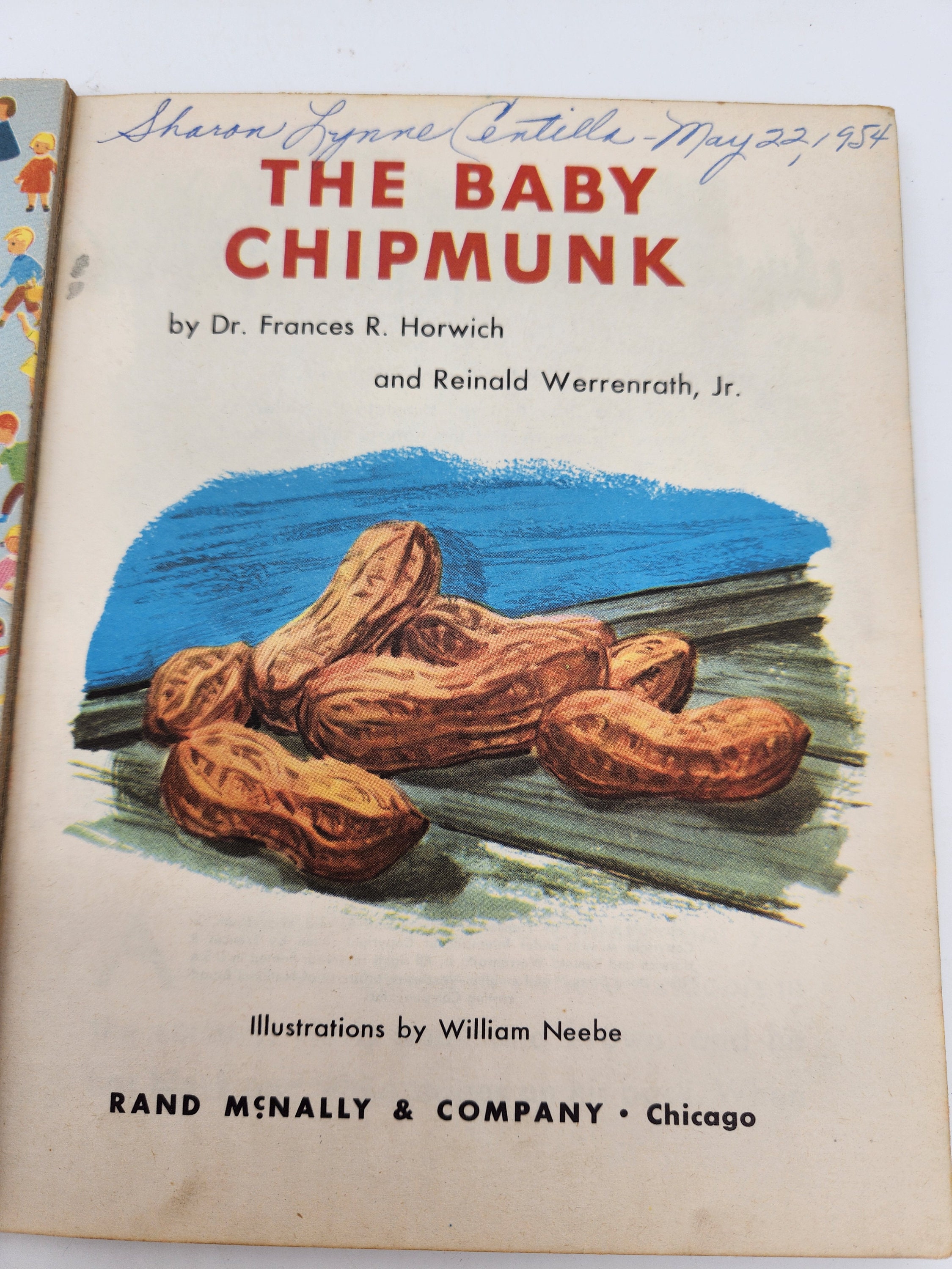The Baby Chipmunk by Miss Frances A Ding Dong School Book - Etsy
