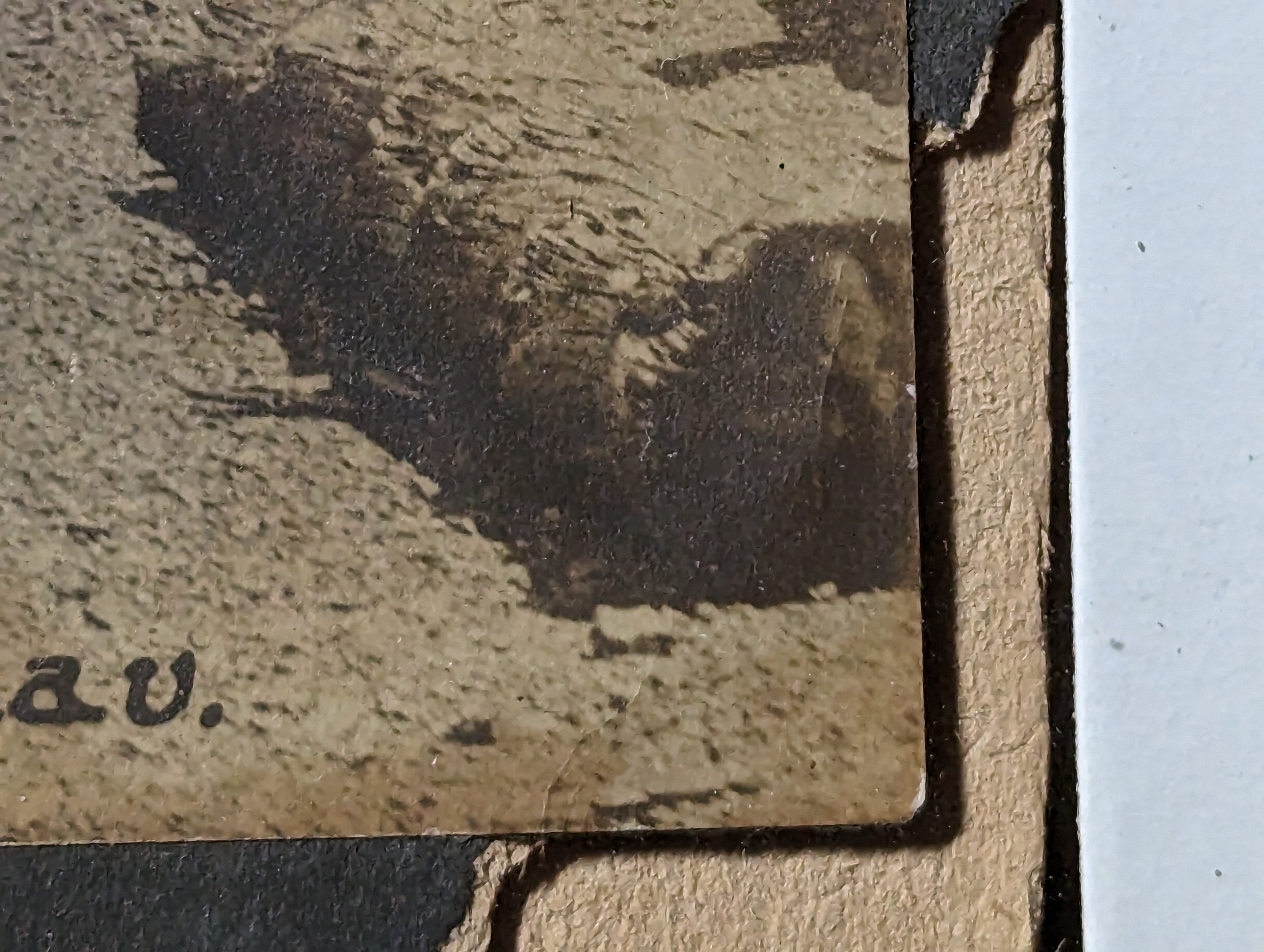 William H. Rau Antique Photograph Circa 1900 - Etsy