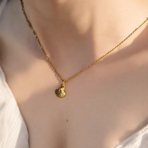 Seashell Necklace，shell Necklace，sea Shell Necklace，gold Seashell ...