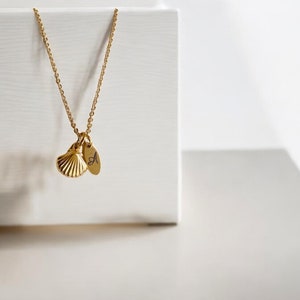 Seashell Necklace，shell Necklace，sea Shell Necklace，gold Seashell ...