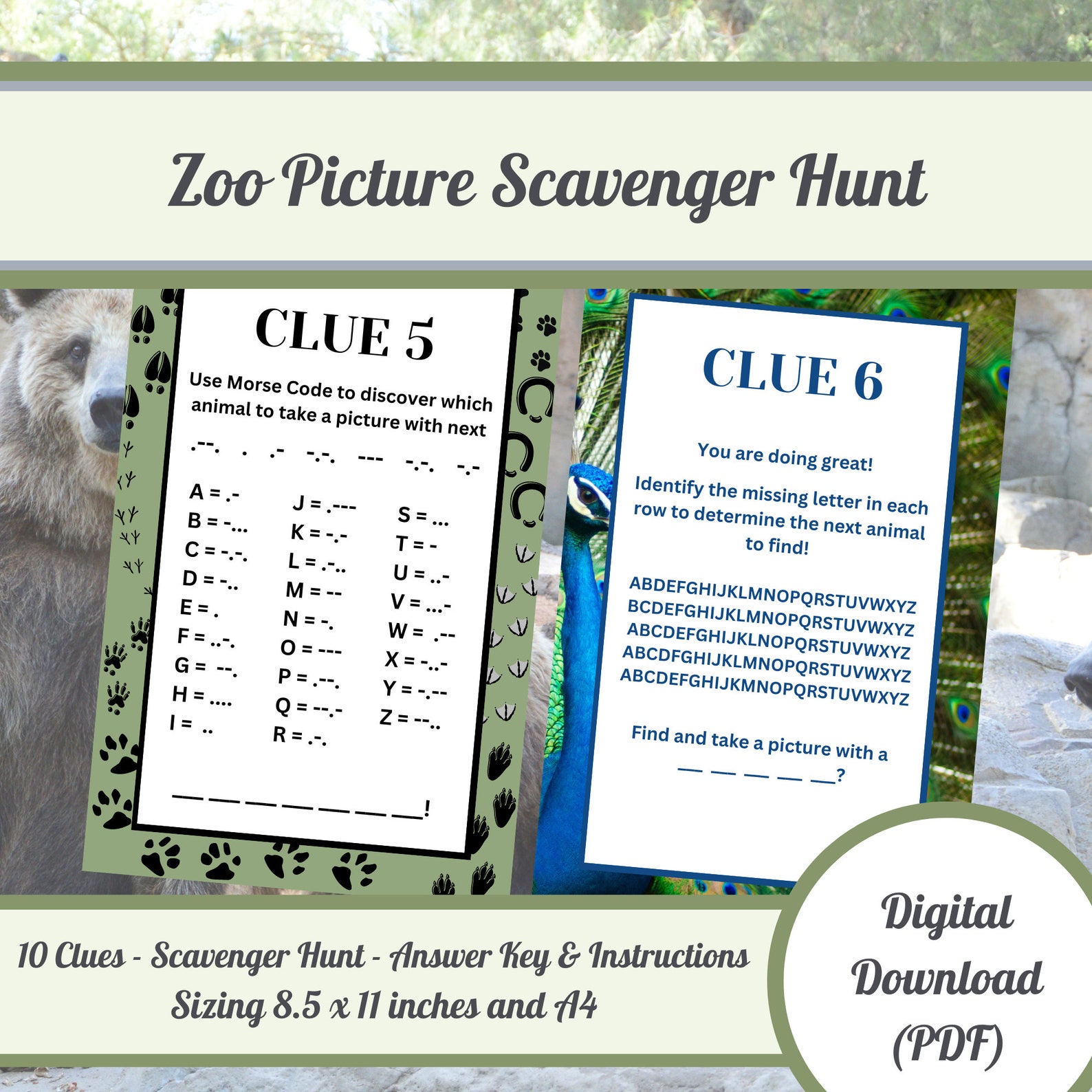 Zoo Picture Scavenger Hunt With Clues and Ciphers Summer STEM Printable ...