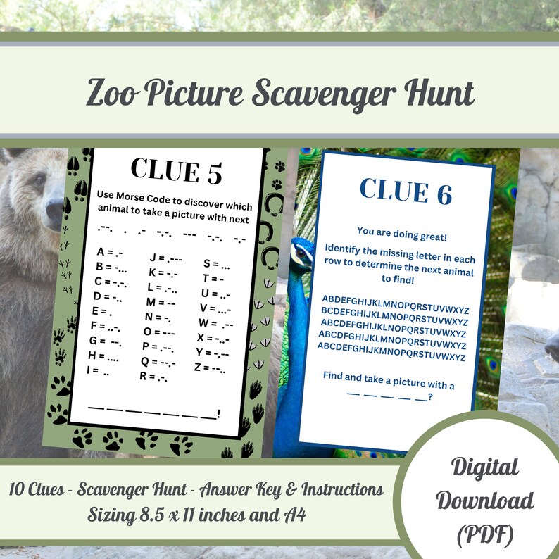 Zoo Animal Picture Scavenger Hunt: STEM Activity (PDF Download) - Etsy