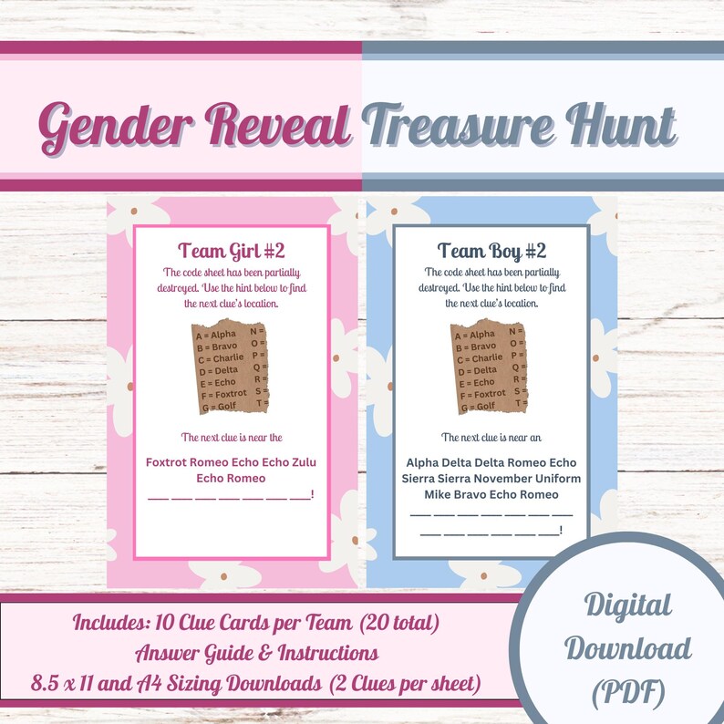 Gender Reveal Scavenger Hunt: Team Boy Vs Team Girl Party Game (PDF ...