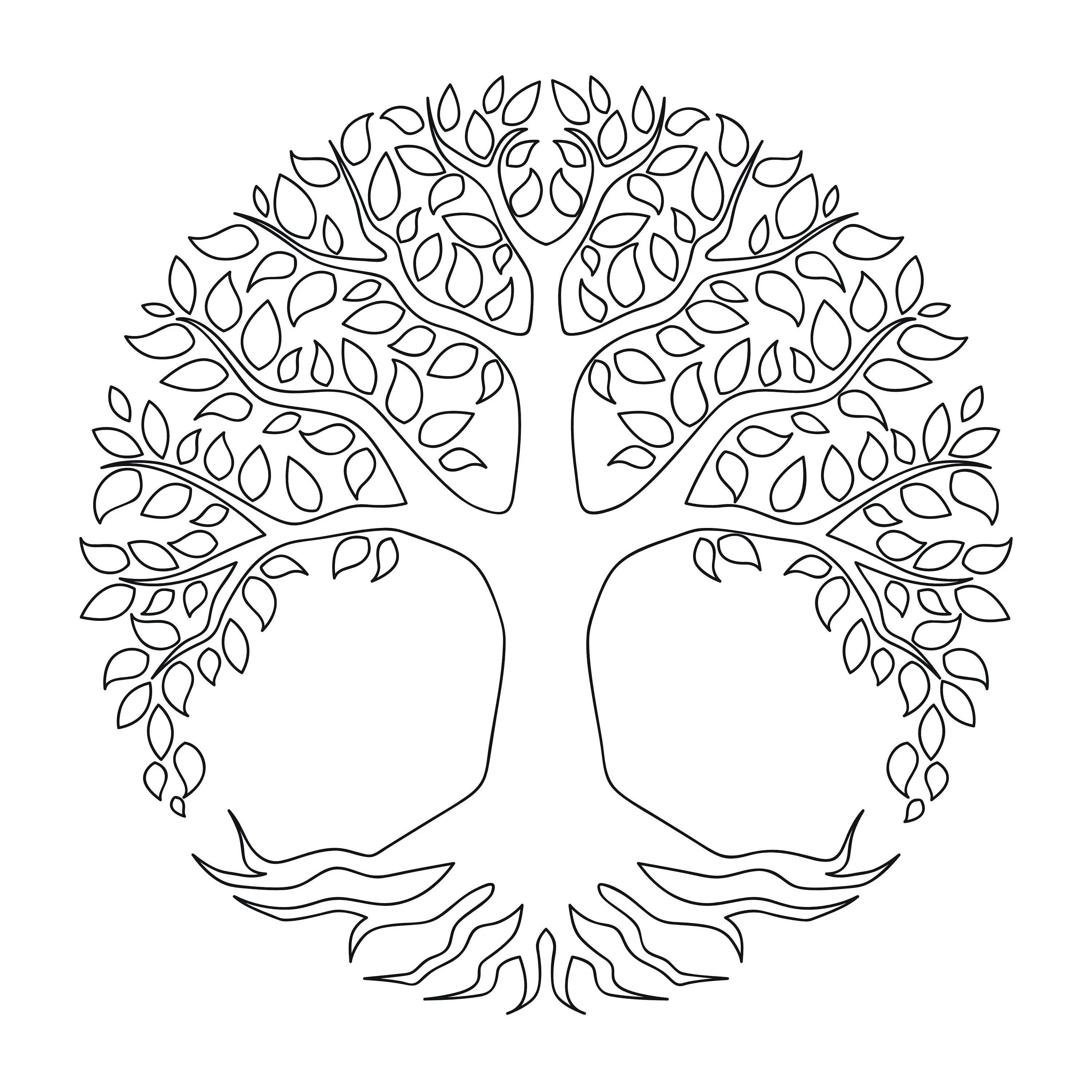 Tree of Life Outline SVG Vector Art Cricut Silhouette Cut Files Wall ...