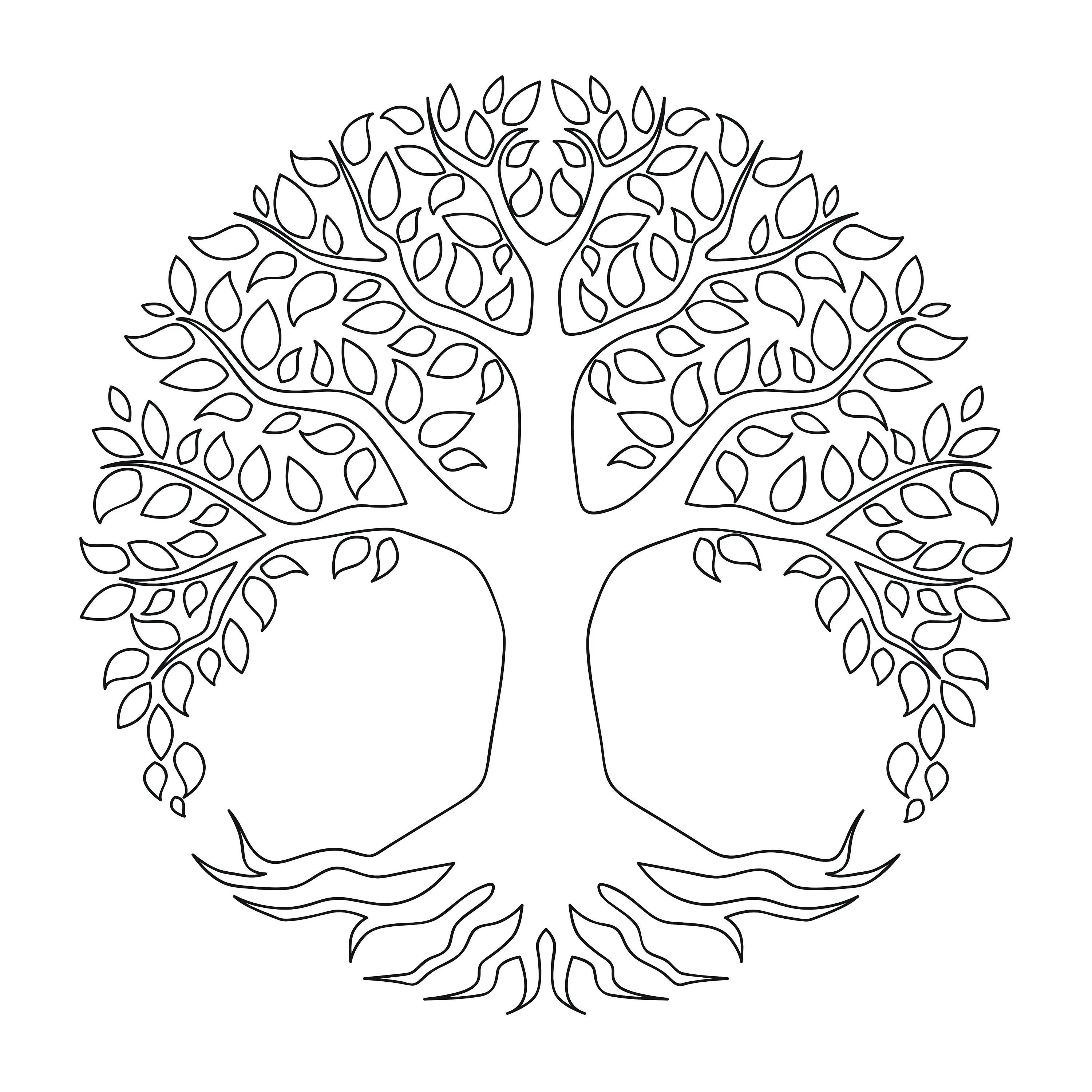 Tree of Life Outline SVG Vector Art Cricut Silhouette Cut Files Wall ...