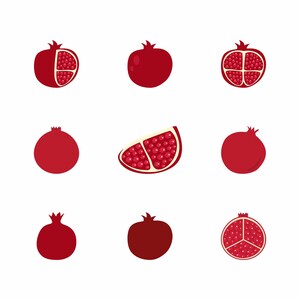 Pomegranate Vector Art: 9 High-res Designs (SVG, PNG, PDF) (instant ...