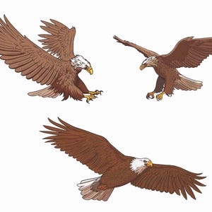 Flying Eagles SVG Bundle: Wildlife Vector Art, Patriotic Cut Files ...