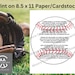 Senior Baseball Graduation Gift | Senior Baseball Gifts | High School ...