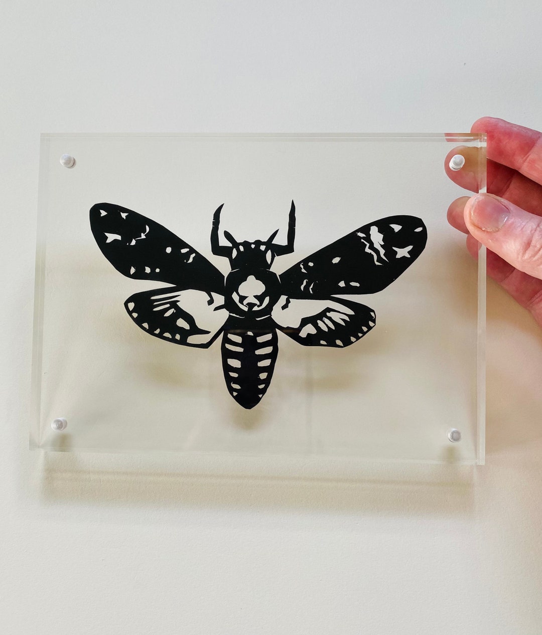 FRAMED Paper Cut Moth Silhouette, Hand Cut With Scissors, Floating in ...