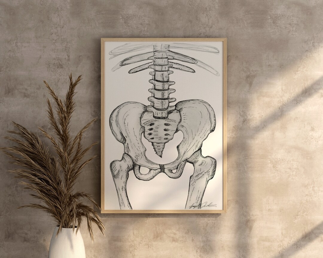 Digital Anatomy Prints, Black & White Sketch Art, Pelvic Art, Clinical ...