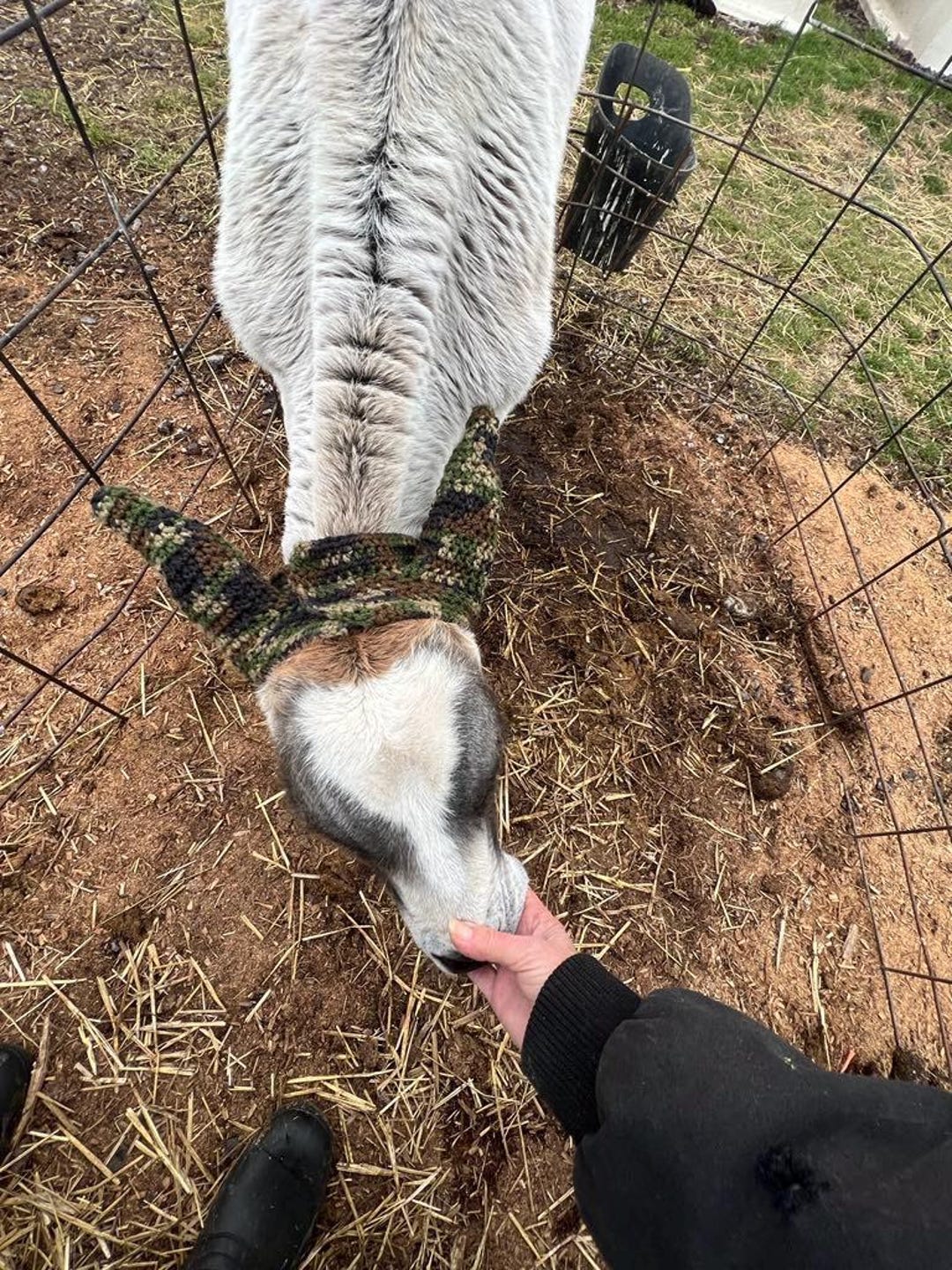 Calf Ear Warmers Chill Guard From Frostbite - Etsy