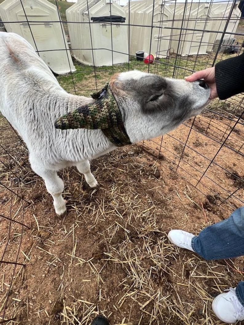 Calf Ear Warmers Chill Guard From Frostbite - Etsy