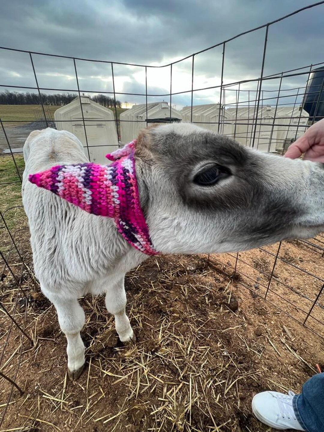 Calf Ear Wamer Crochet Pattern - Etsy