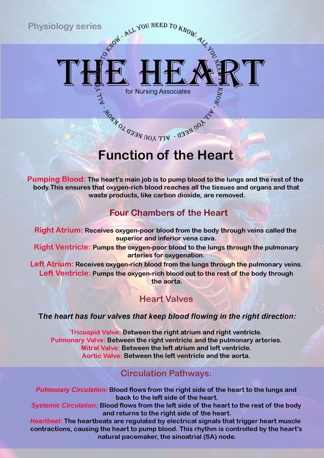 Heart Physiology and Function Poster A4 Size, PNG Downloadable File - Etsy