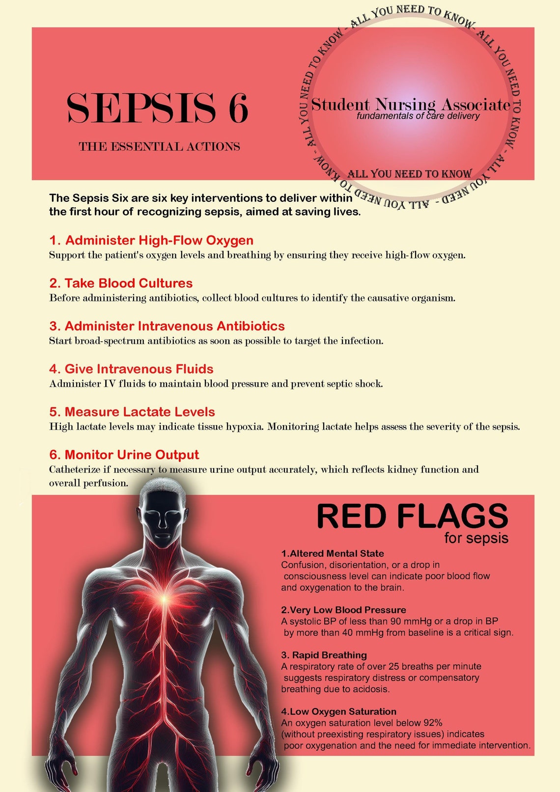 Sepsis Awareness Poster Sepsis Six & Red Flags Nursing Study Aid A4 Digital Download Medical ...