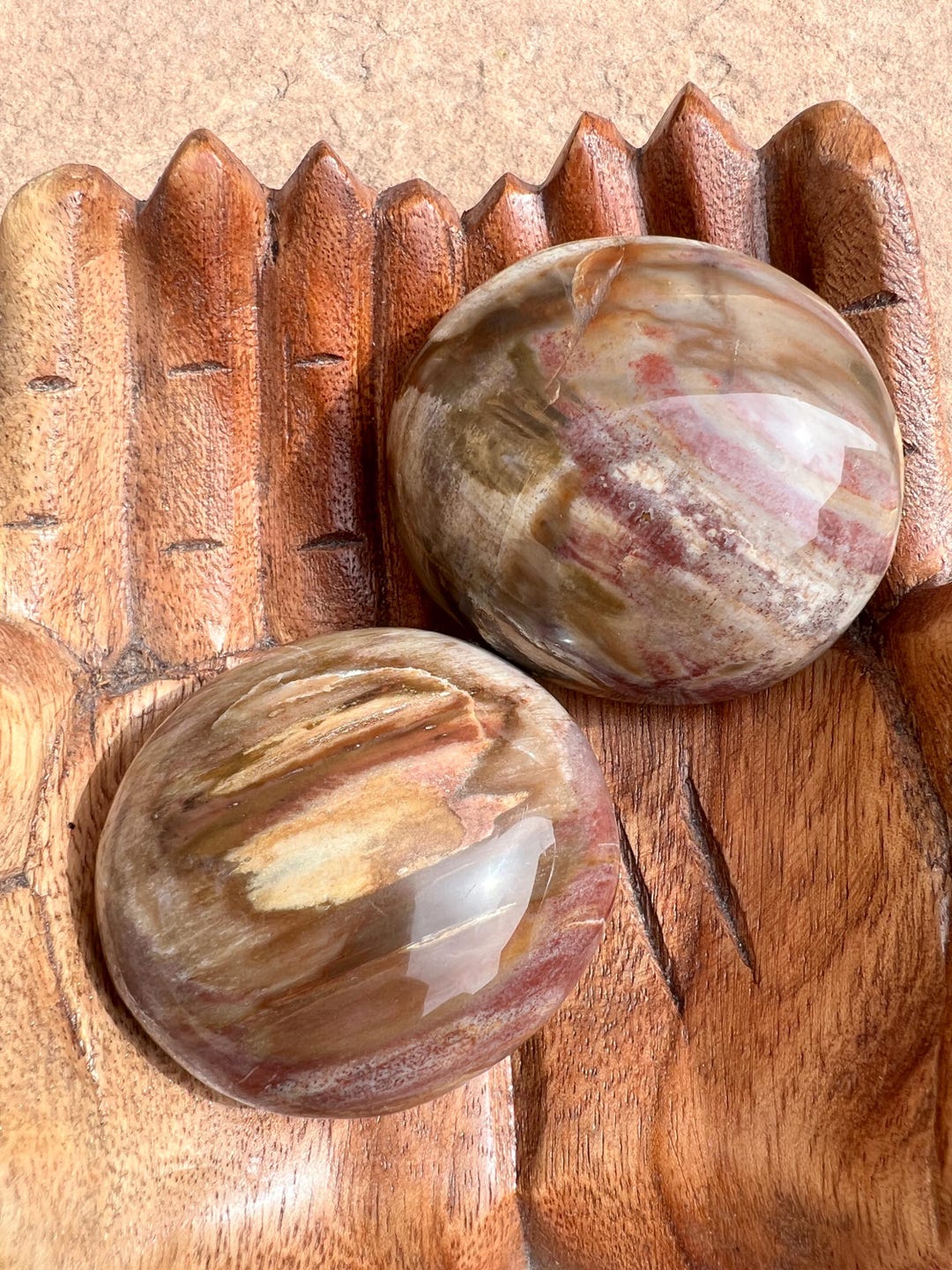 Petrified Wood Palm Stone Fossil Healing Crystal Grounding Stone Root ...