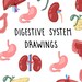 Digestive System Digital Stickers - Etsy