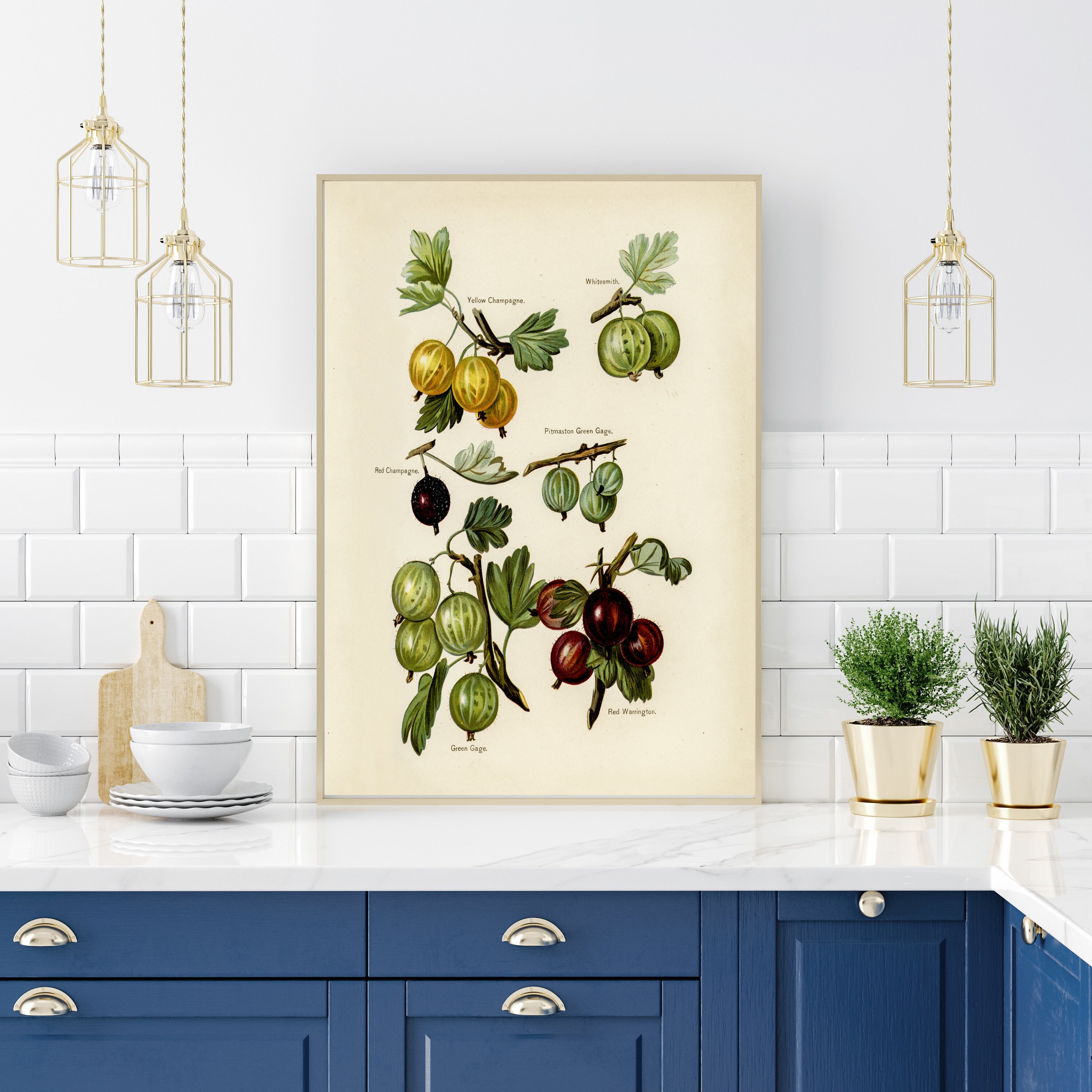 Vintage Gooseberry Art Print, Vintage Kitchen Decor, the Fruit Grower's ...