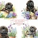 Newfoundland Dog Clipart- Spring Flowers and Gardening Theme -high ...