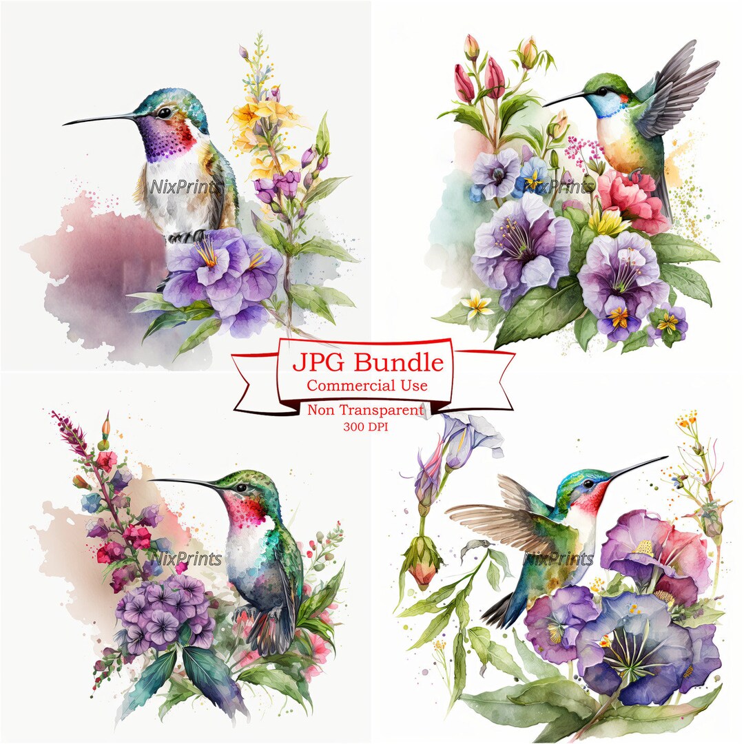 Hummingbird Clipart Spring Flowers and Gardening Theme 300 - Etsy