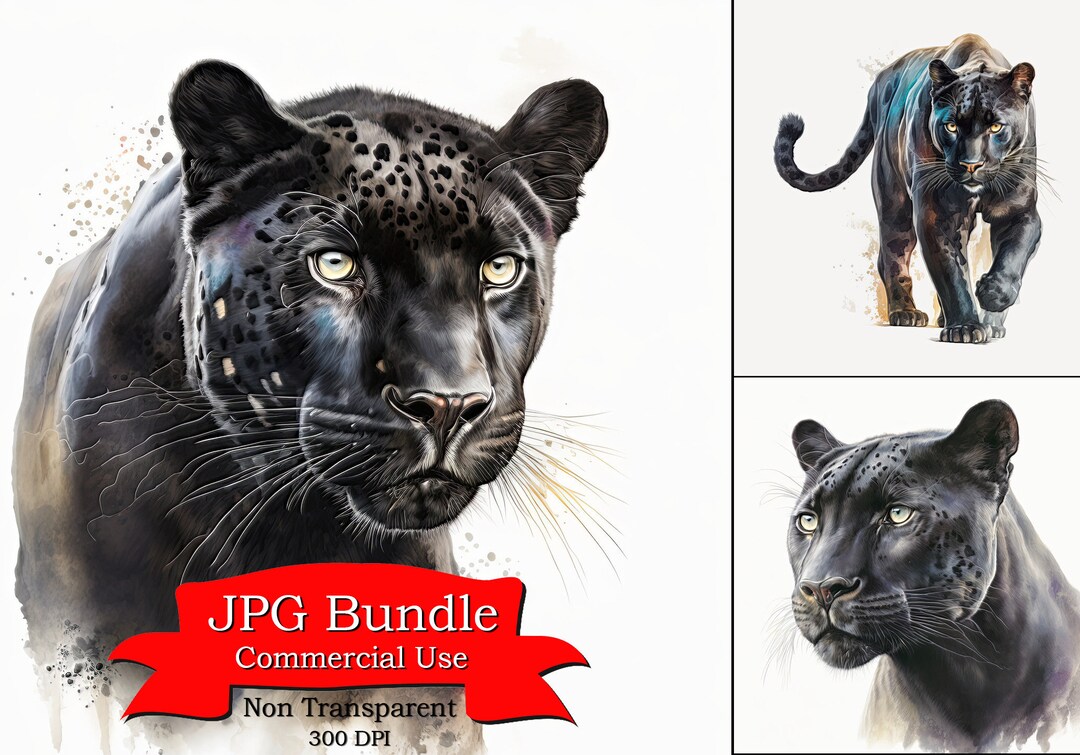 Fierce Panther Watercolor Clipart, Wild Animal Clipart, 300 DPI, Non ...