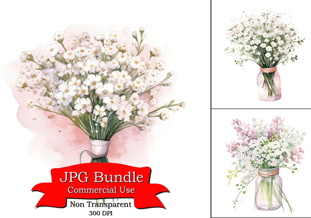 Watercolor Baby's Breath Flower Clipart Bouquet , Digital Paper ...