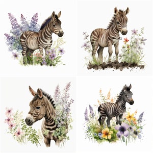 Baby Zebra Foal Clipart Set, Spring Flowers and Gardening Theme, 300 ...