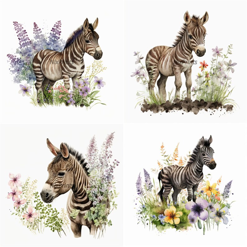 Baby Zebra Foal Clipart Set Spring Flowers and Gardening - Etsy