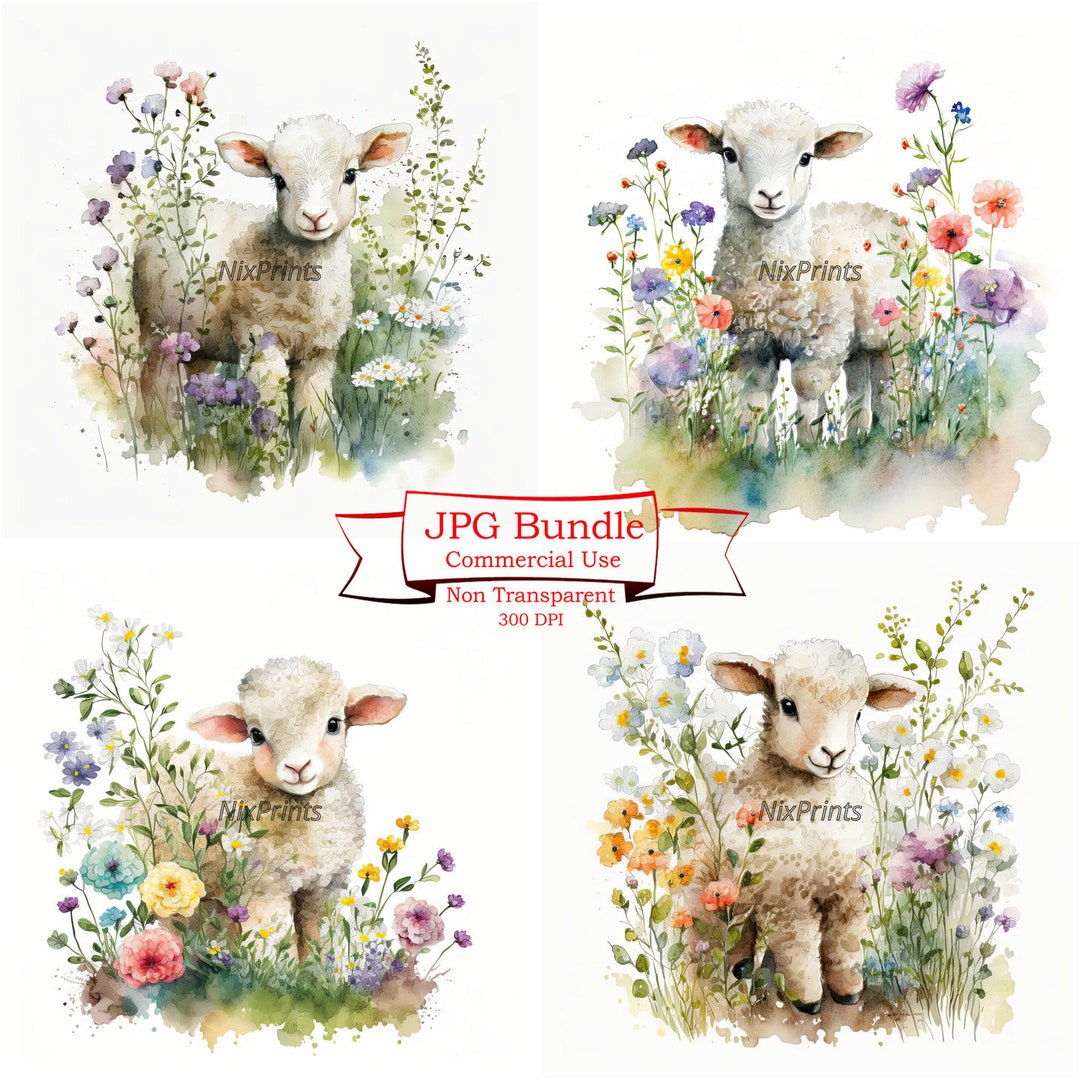 Baby Sheep Lamb Clipart - Spring Flowers and Gardening Theme - Digital ...