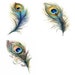 Detailed Peacock Feather Watercolor Clipart ,digital Paper Crafting ...