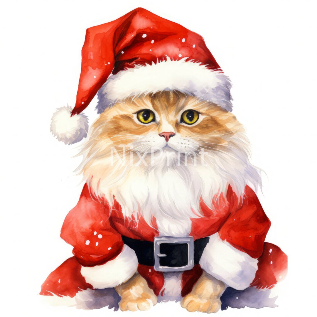 Cute Cat Clipart Santa Claus Dress White Background - Etsy