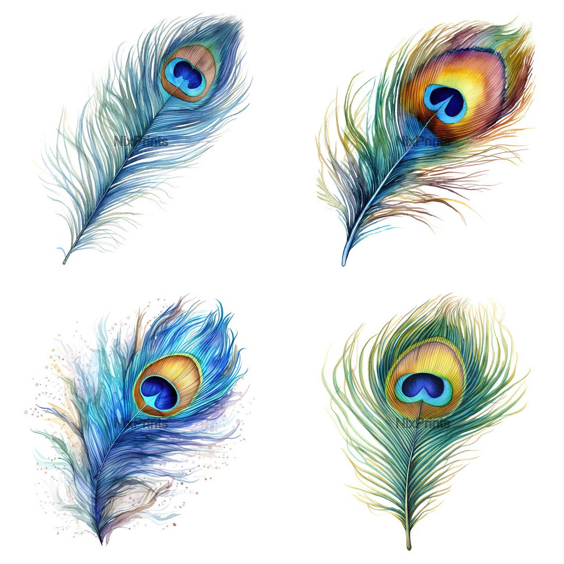 Detailed Peacock Feather Watercolor Clipart digital Paper - Etsy