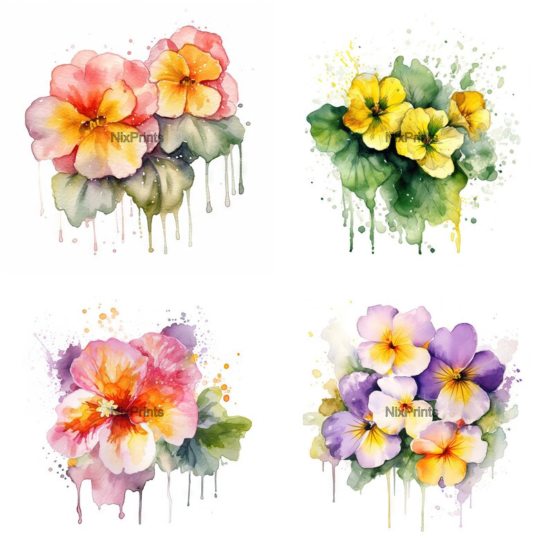 Primrose Paint Splash Watercolor Digital Clipart Digital Paper Crafting ...