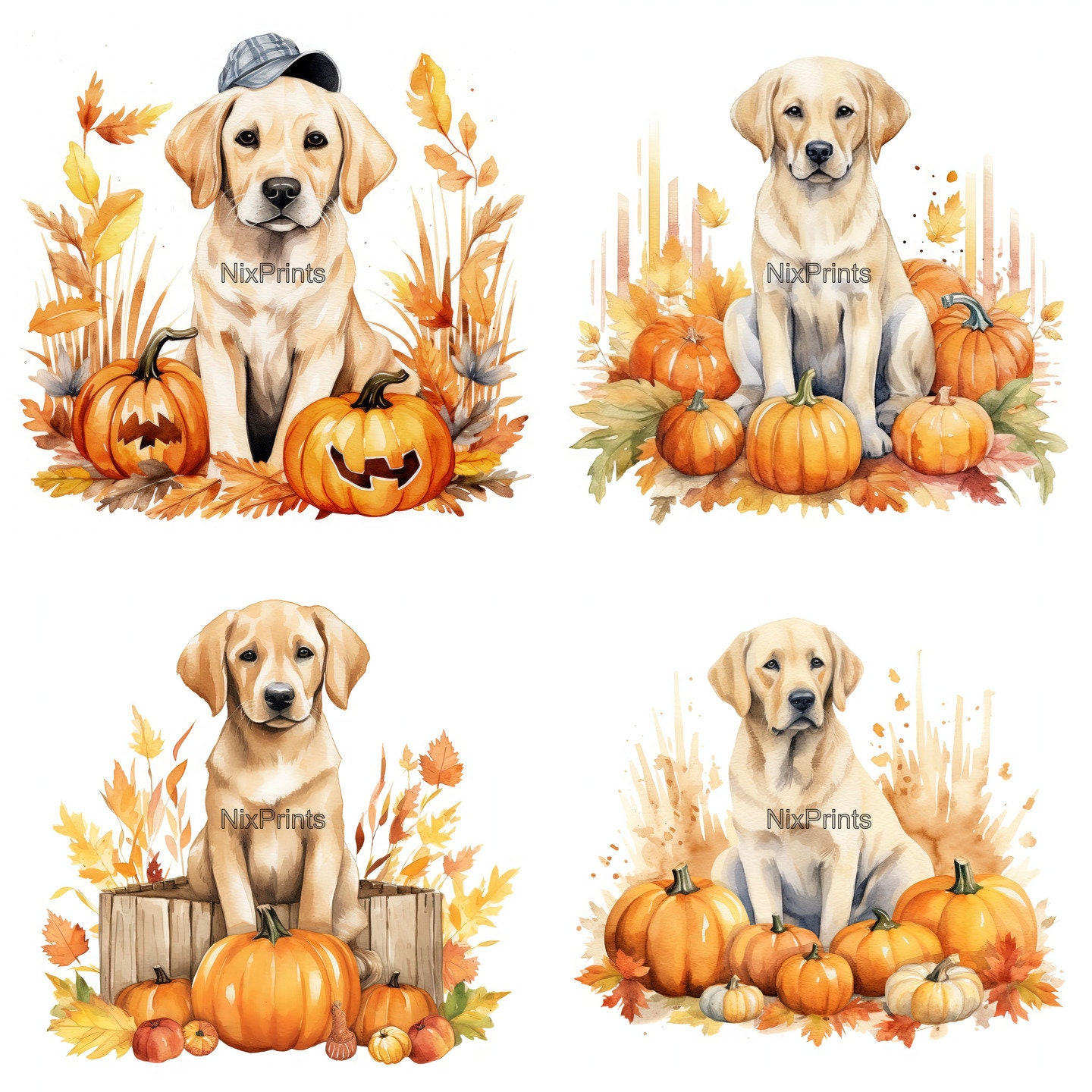 Labrador Retriever Pumpkin Patch Clipart, Design for Babies, Poster for ...