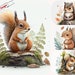 Watercolor Squirrel Clipart Set - Forest Animal Cliparts , Woodland ...