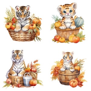 Cute Tiger Harvest Food Watercolor Clipart, Digital Sticker for Fridge ...