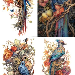 Bird Print, Vintage Bird Clipart, Royal Bird Clipart, Colorful Birds ...