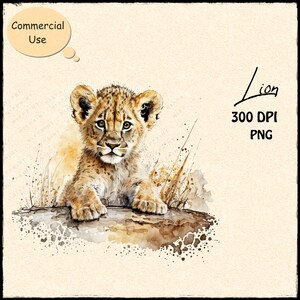 Transparent Baby Lion Clipart Watercolor, Cute Lion Clipart Digital ...
