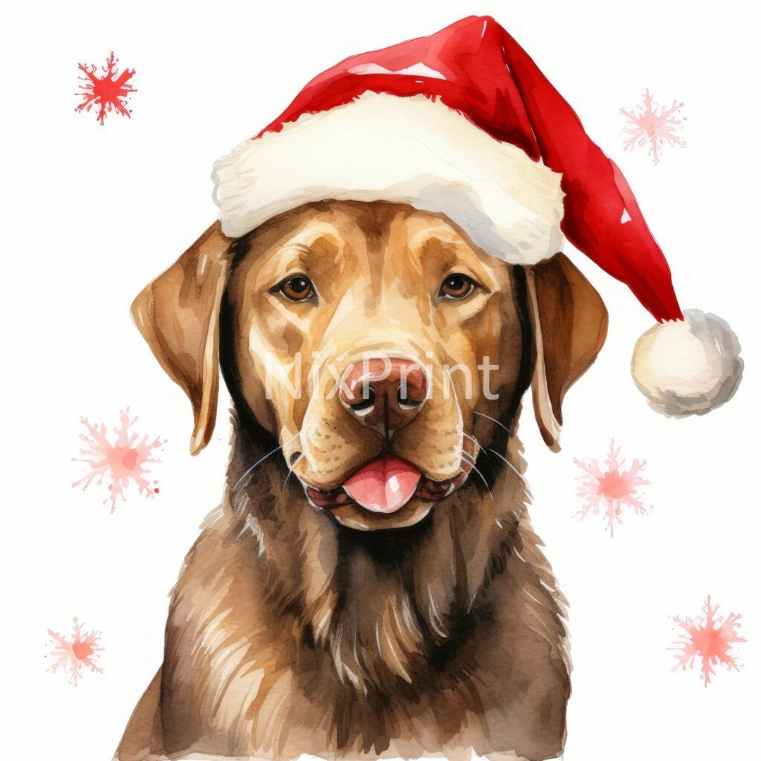 Labrador Retriever Dog Clipart, Santa Claus Dress, White Background ...