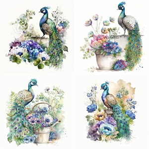 Peacock Spring Flowers Clipart for Commercial Use, 300dpi High-quality ...