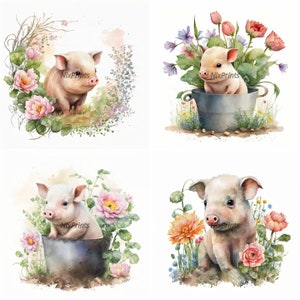 Baby Pig Piglet Clipart Bundle - High Quality Jpgs for Commercial Use ...
