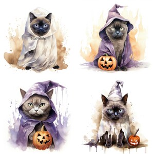 Cute Burmese Cat Spooky Halloween Costume Ghost Witch - Etsy Australia